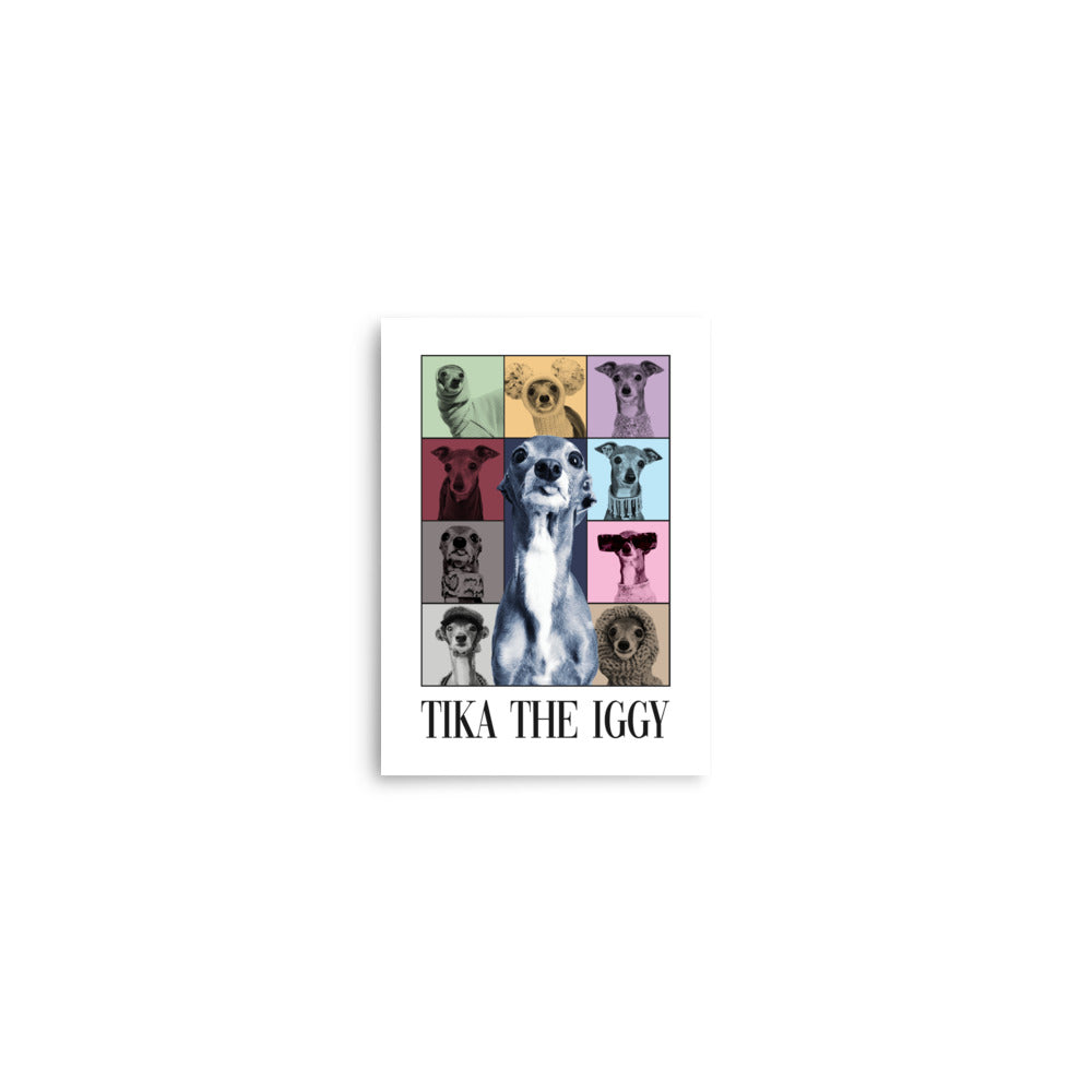 Poster - Tika Through the Years – Tika the Iggy Shop