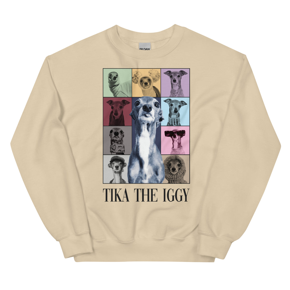 Sweatshirt - Tika Through the Years – Tika the Iggy Shop